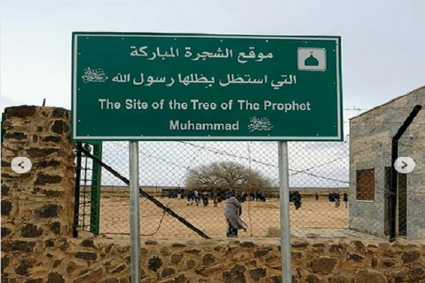 Pesona Wisata Yordania (5) : Pohon Sahabi, ‘Pohon Kesepian’ Tempat ...